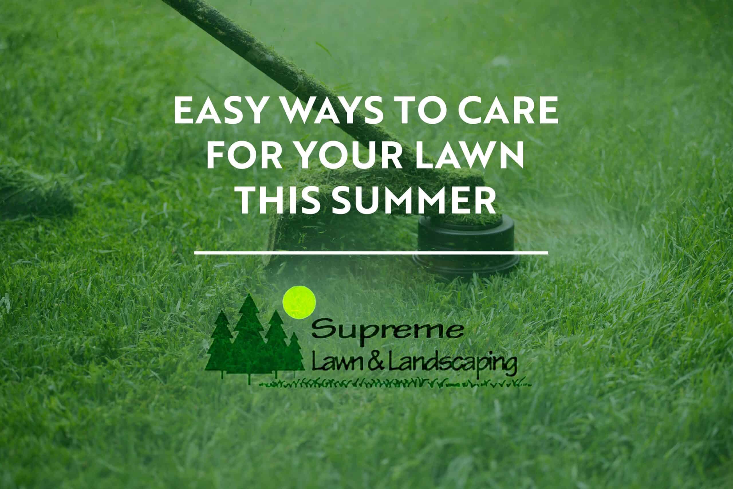 Easy Lawn Care Tips in Minnesota | Supreme Lawn & Landscaping