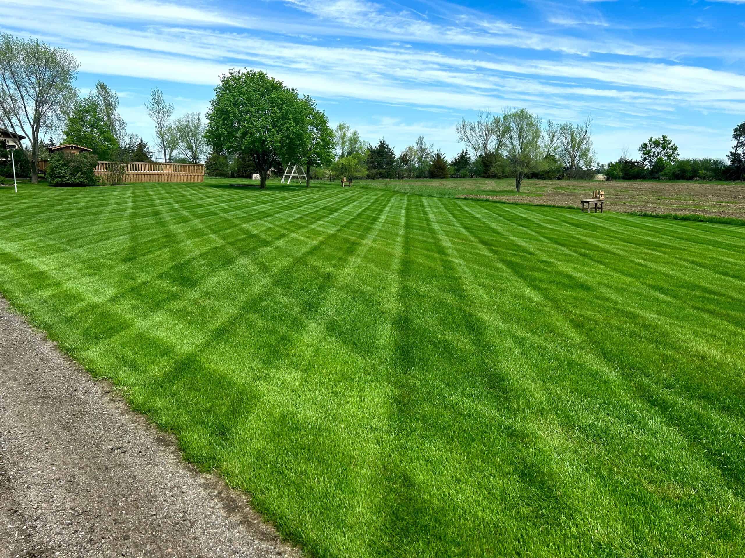 Lawn Care Near Central MN | Landscaping, Cleanup, & More | Supreme Lawn