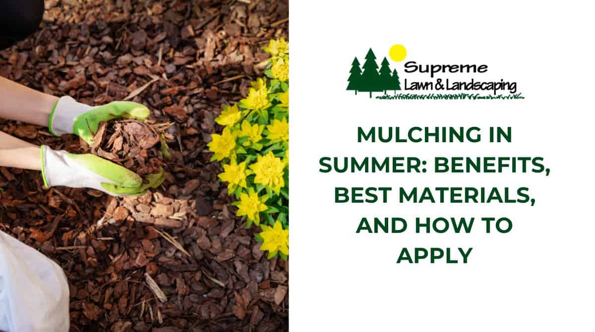 Why It's Best to Mulch in Summer | Supreme Lawn