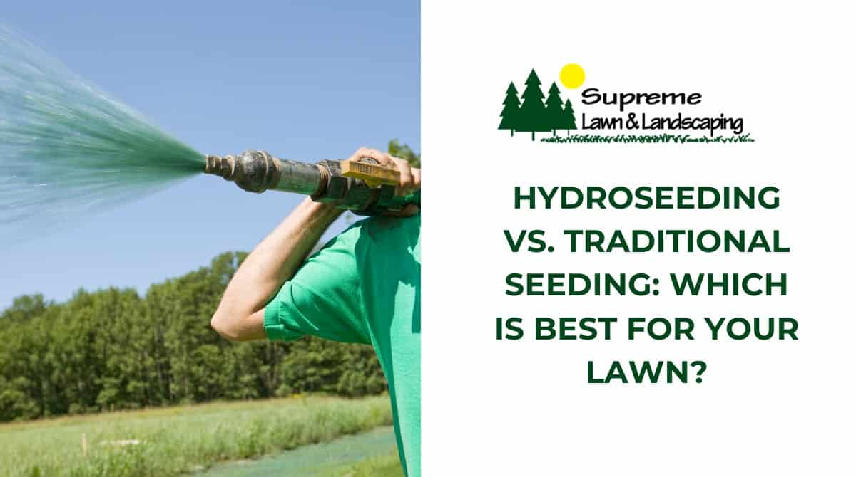 Hydroseeding vs. Traditional Seeding: Which Is Best?